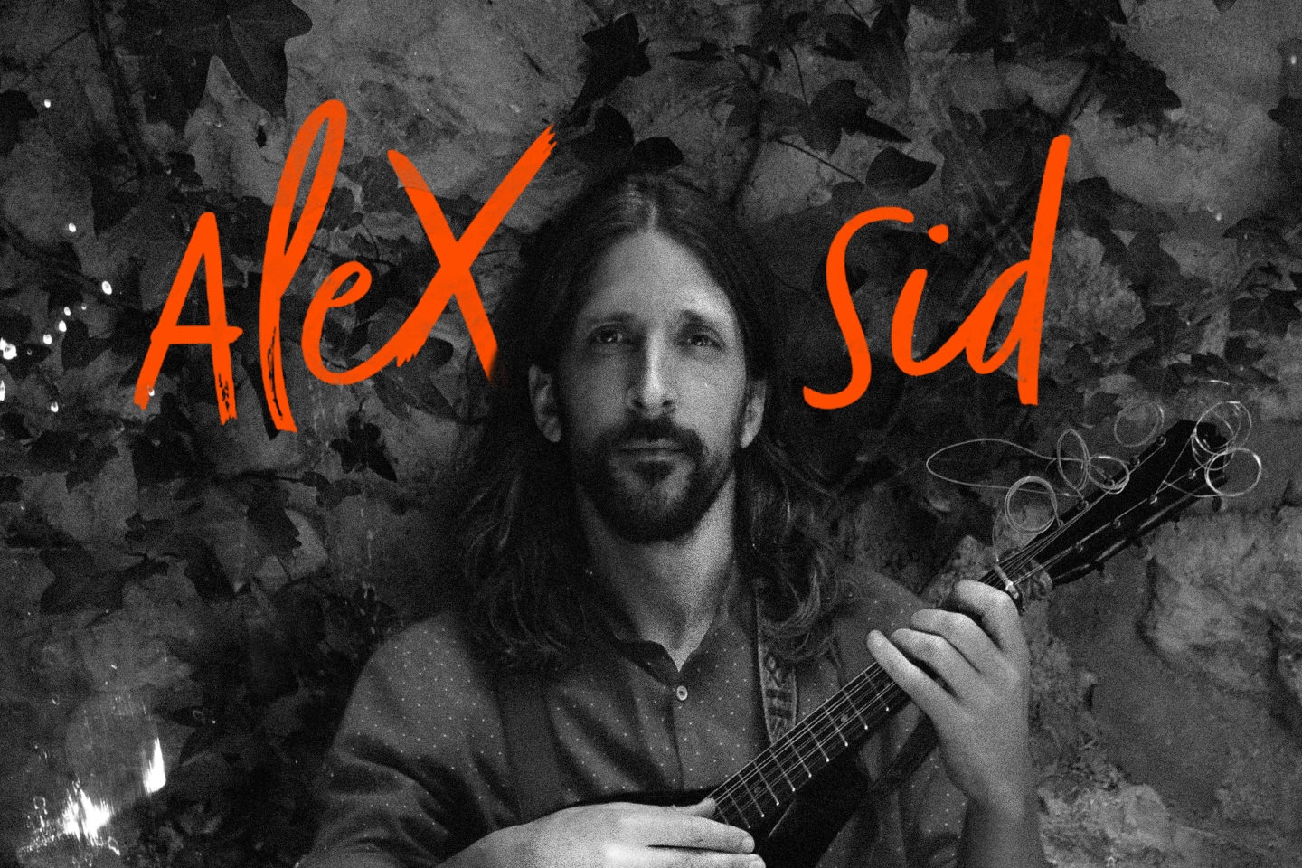 «Αν Χαθείς» | Το ερωτικό κομμάτι από τη σειρά «Άγριες Μέλισσες» που ψάχνουν όλοι! - tralala.gr